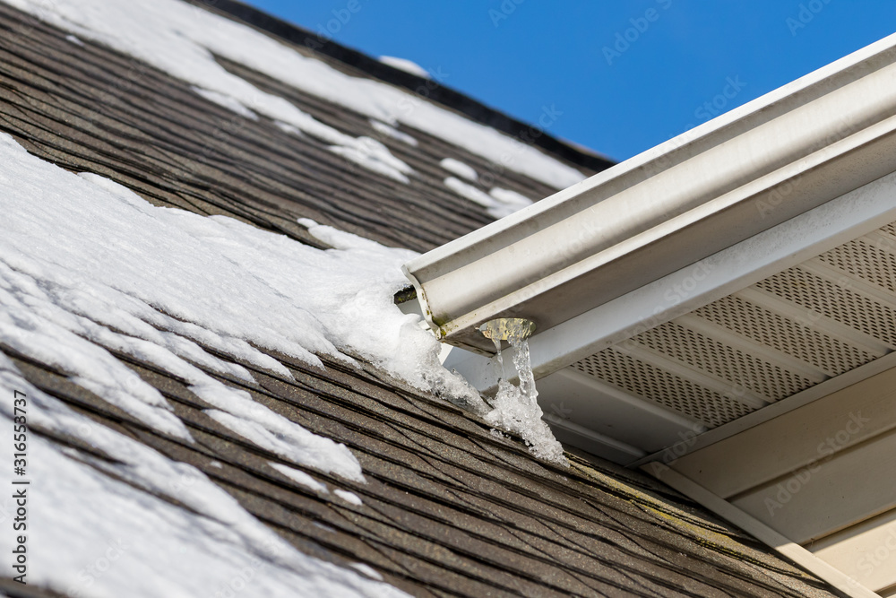 Melting snow on roof of house has formed ice on shingles and icicles ...
