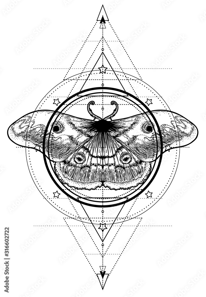 Black and white moth over sacred geometry sign, isolated vector ...