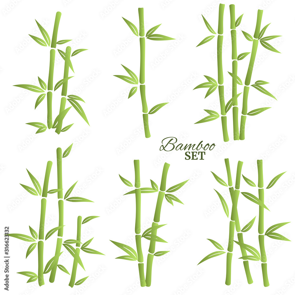 Green bamboo elements set. Bamboo icons for your design. Vector ...