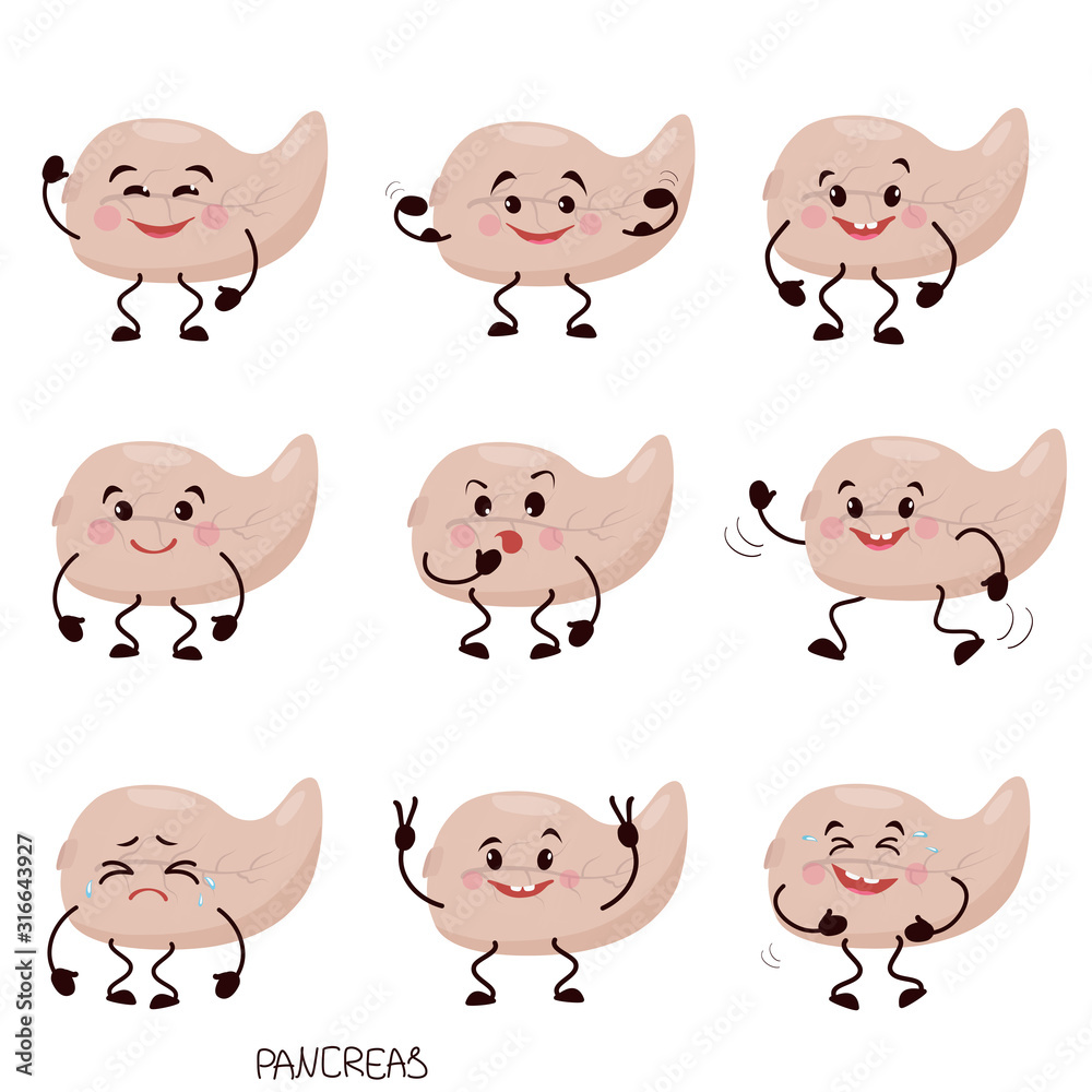 Pancreas cartoon characters set. Stock Vector | Adobe Stock