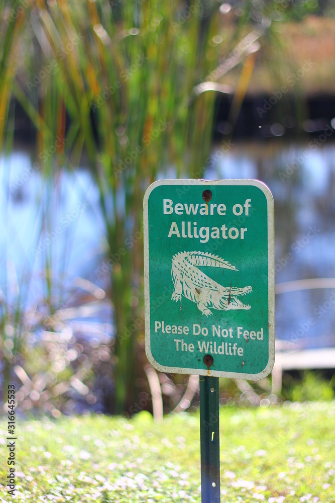 Alligator Warning Sign, Florida Stock Photo | Adobe Stock