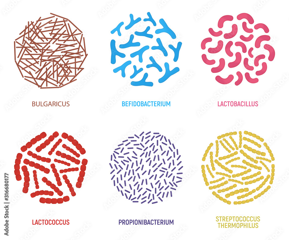 Set of Probiotics Icon. Concept Logo and Label. Health Research Symbol ...