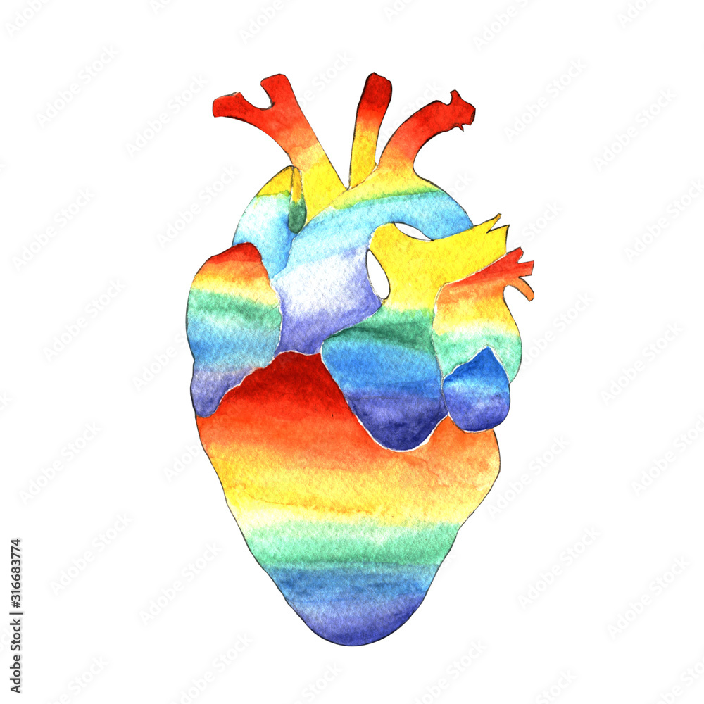 watercolor illustration. hand painted. one anatomical human heart ...