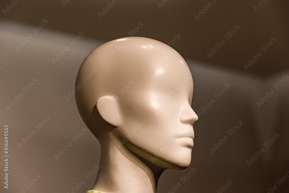 Store Manikin Head
