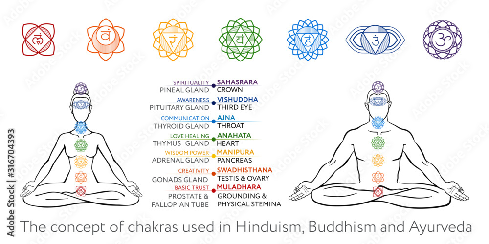 Chakras set of human body - vector drawing Sahasrara, Ajna, Vishuddha ...