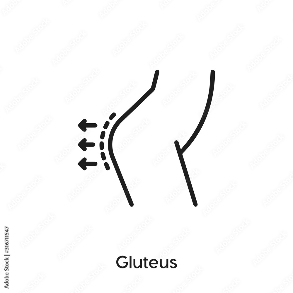gluteus vector icon . gluteus symbol sign Stock Vector | Adobe Stock