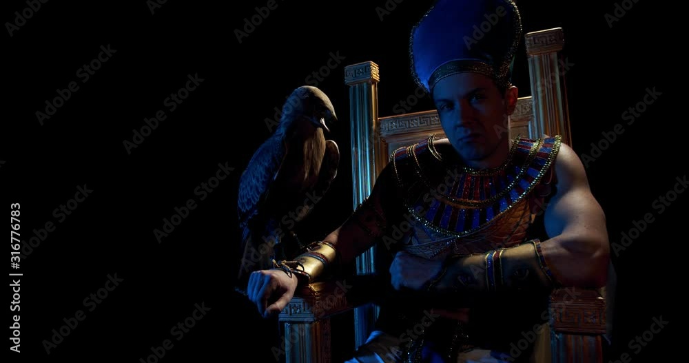 Ancient egyptian ruler is sitting on his throne with a hawk on his hand ...