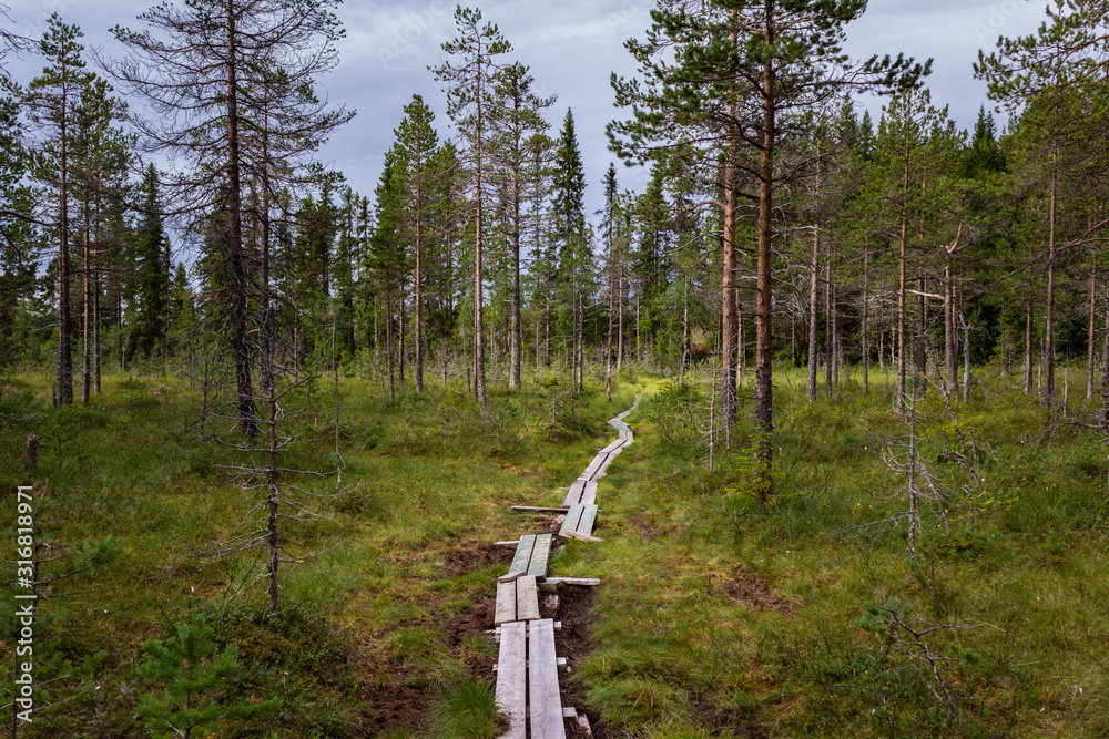 Journey Path Forest