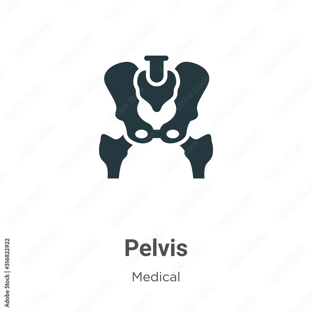 Pelvis glyph icon vector on white background. Flat vector pelvis icon ...