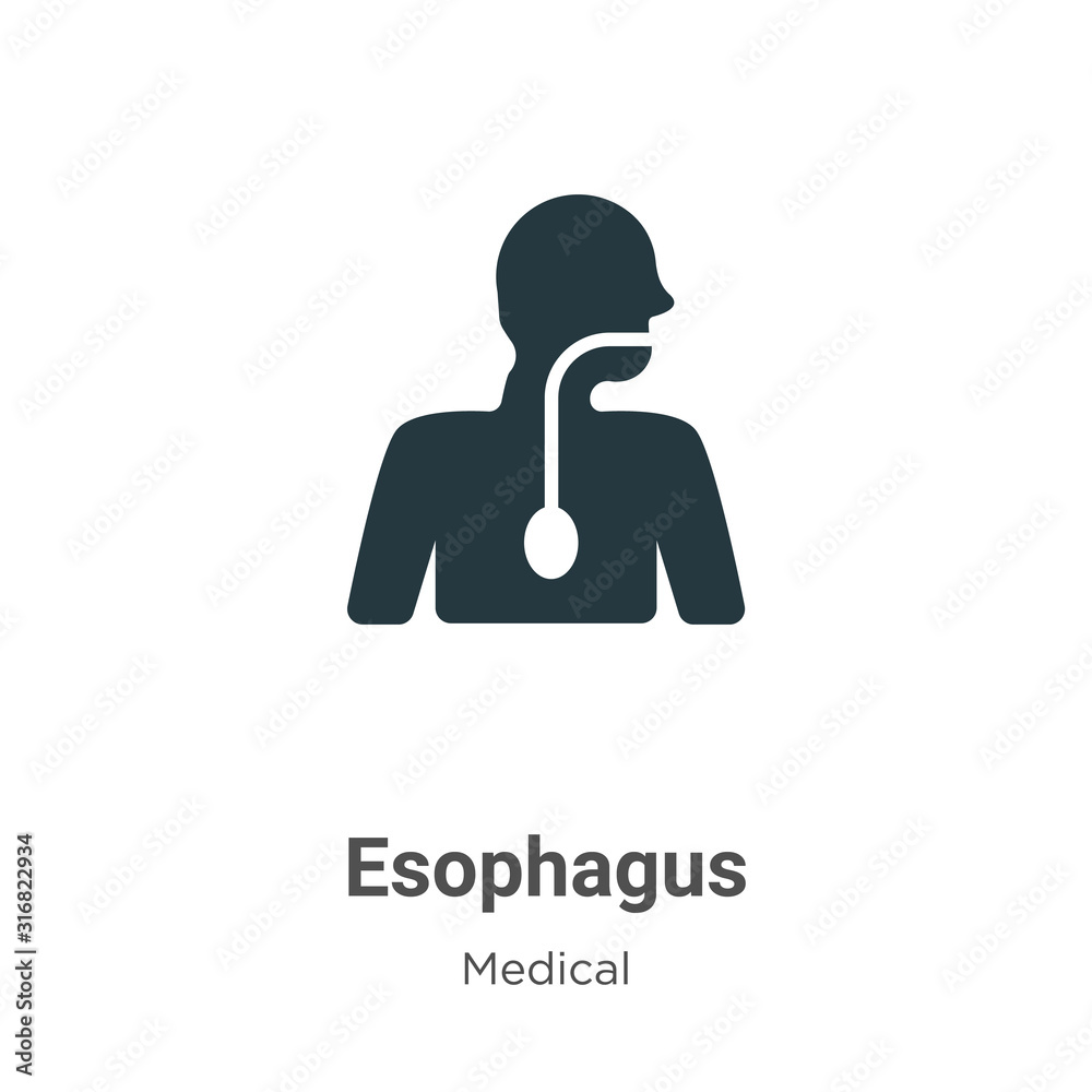 Esophagus glyph icon vector on white background. Flat vector esophagus ...