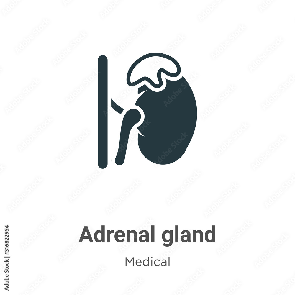 Adrenal gland glyph icon vector on white background. Flat vector ...