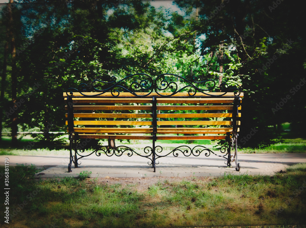 Empty Park Bench