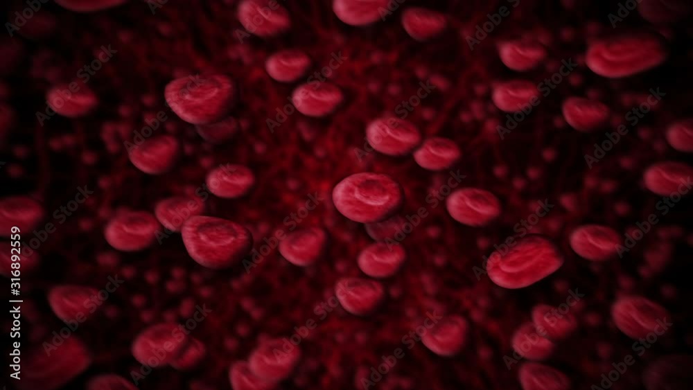 Red blood cells floating through blood and circulating in the vessels ...