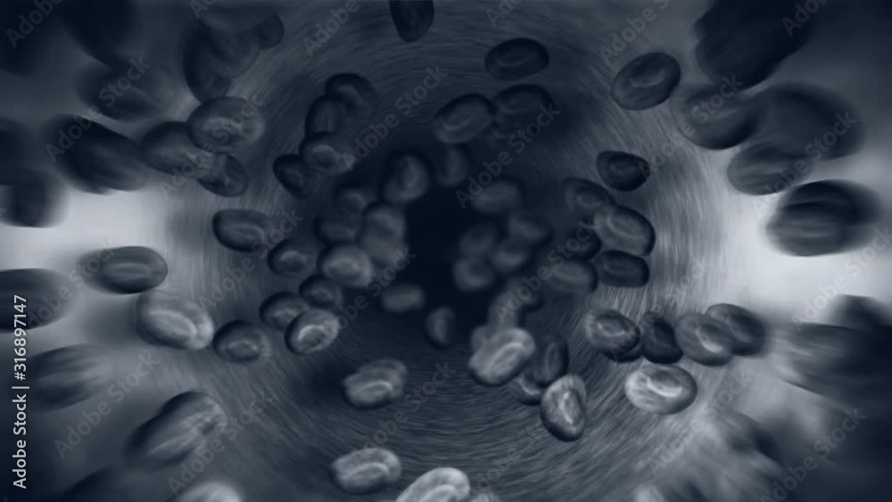 Human circulatory system. 3D loop animation of human blood vessel with ...