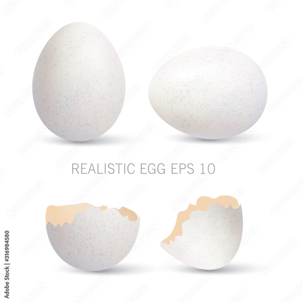 Realistic Vector Eggs Stock Vector | Adobe Stock