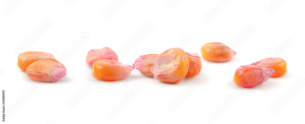 Corn seeds isolated on a white background with shadow. Corn seeds ...