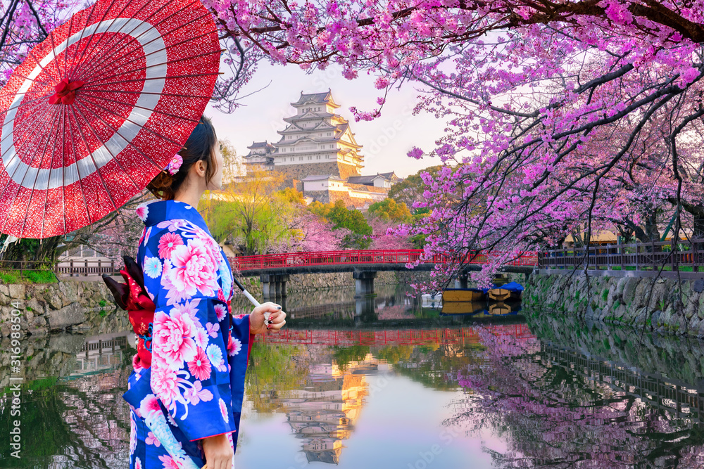 Asian woman wearing japanese traditional kimono looking at cherry ...