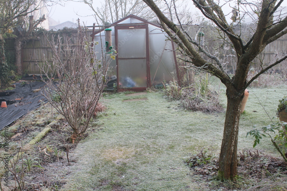 Beautiful winter frozen landscape with glass greenhouse, frosty cold ...