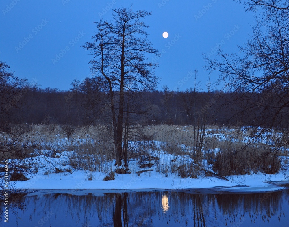 Foto de Landscape of spring, night forest with a river. Melting ice and ...