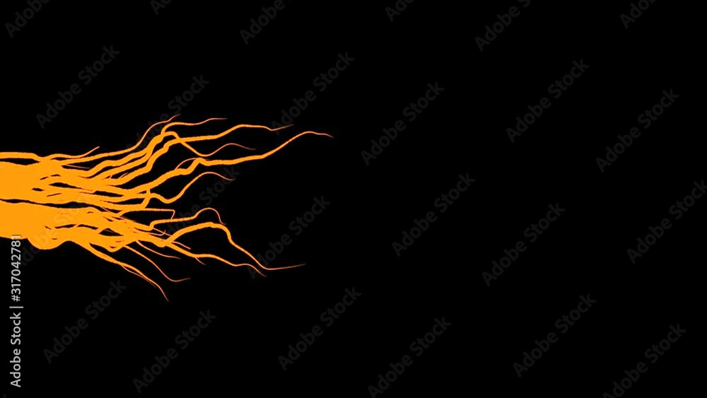 Animation of growing roots on black background. Animation. Slowly ...