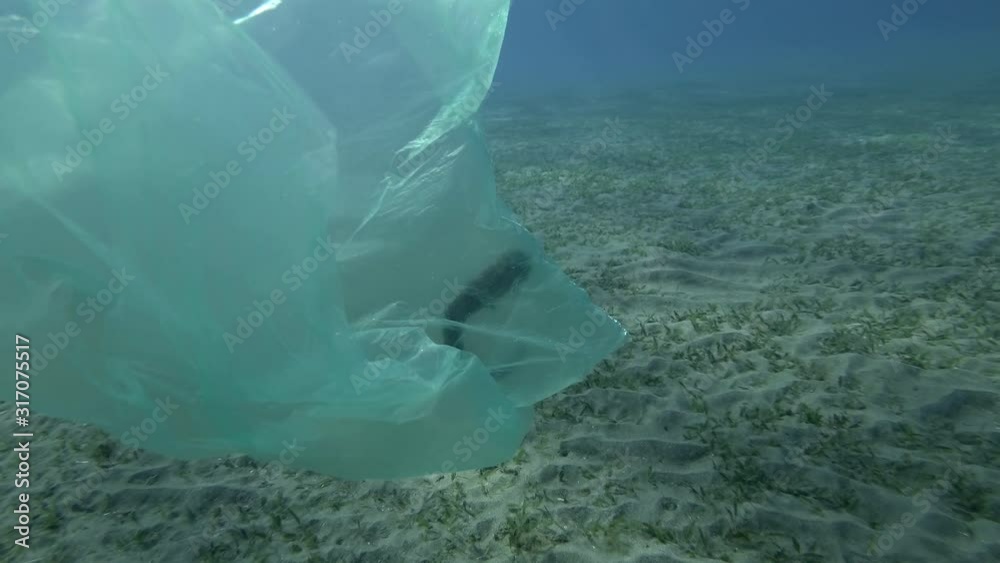 Video „Seahorse trapped in plastic bag and drifts over sea bottom ...