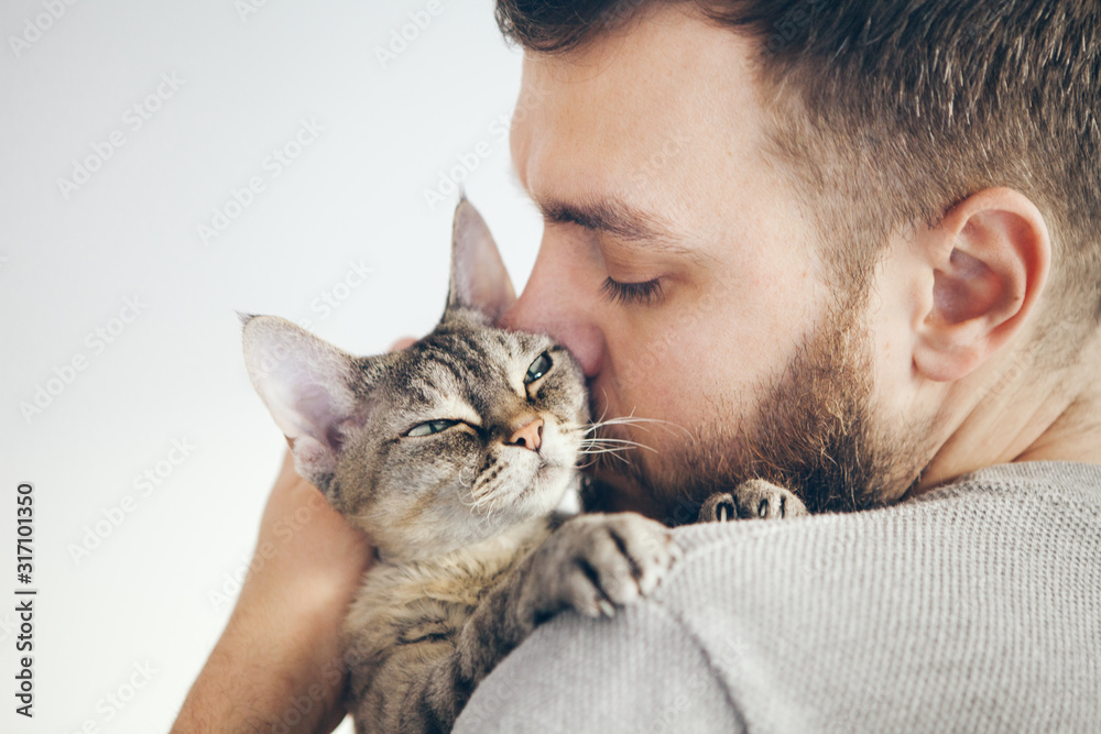 Sharing affection with cat. Cat and man, portrait of happy cat with ...