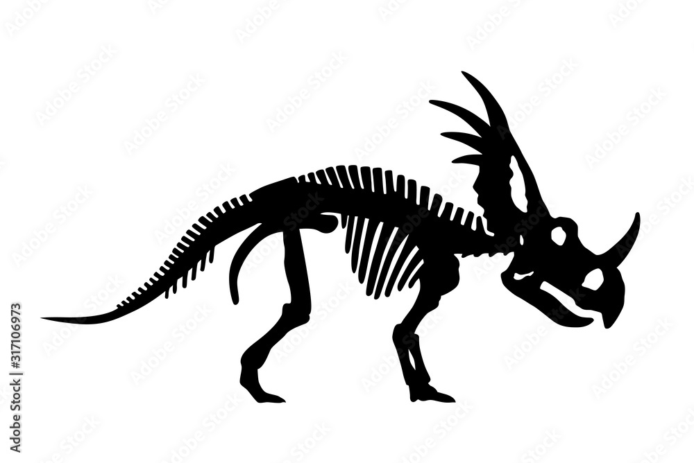 Dinosaur Styracosaurus Skeleton Silhouette Illustration Isolated Stock ...