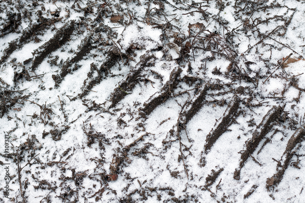 Frozen Ground Texture