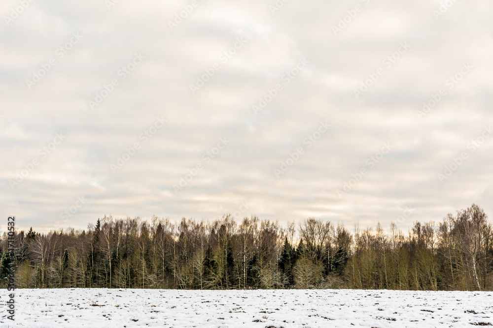Winter landscape. Snow-covered field and forest on the horizon on a ...