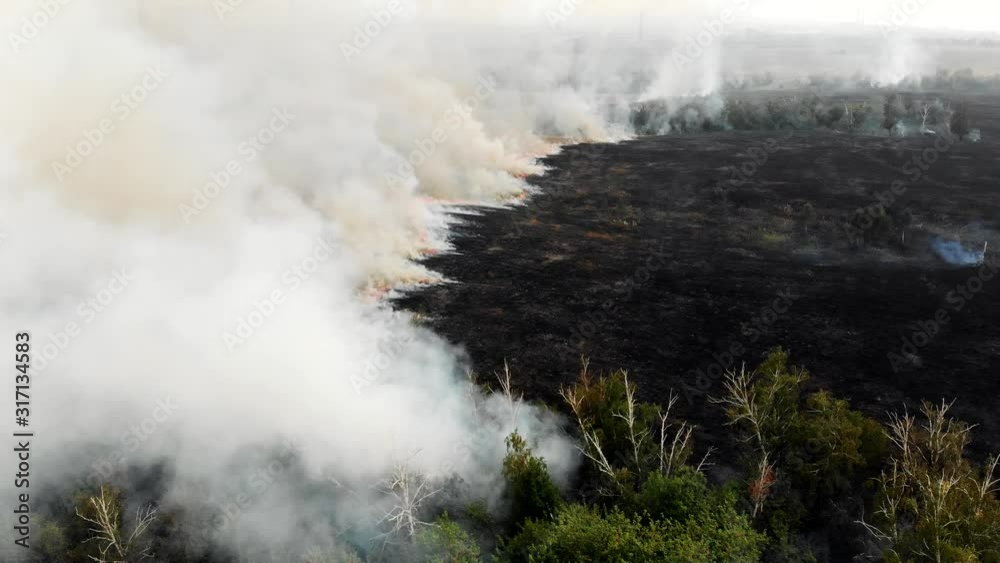 Deep grey smoke (haze) above willd fires, aerial footage, summer 2019 ...