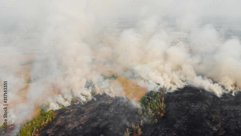 Aerial footage fire and smoke, Siberia, Russia. Siberian forest wild ...