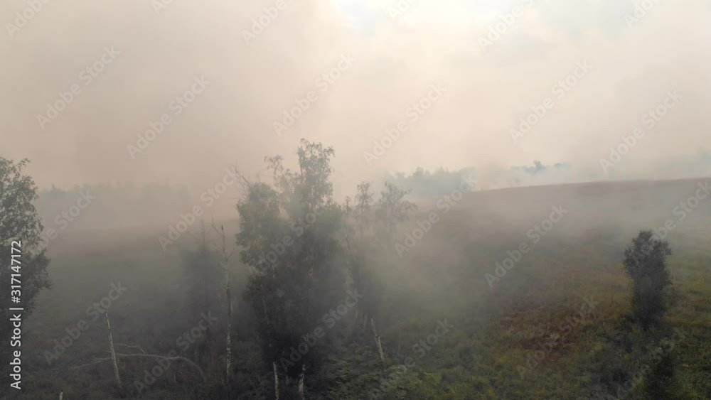 Forest fire smoke spreading. Smog above fields and forests. Intense air ...