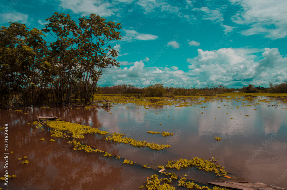 un lindo paisaje de la selva del peru con un lindo cielo azul Stock ...