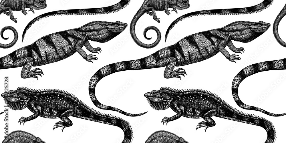 Vecteur Stock Hand sketched reptiles seamless pattern. Exotic animals ...