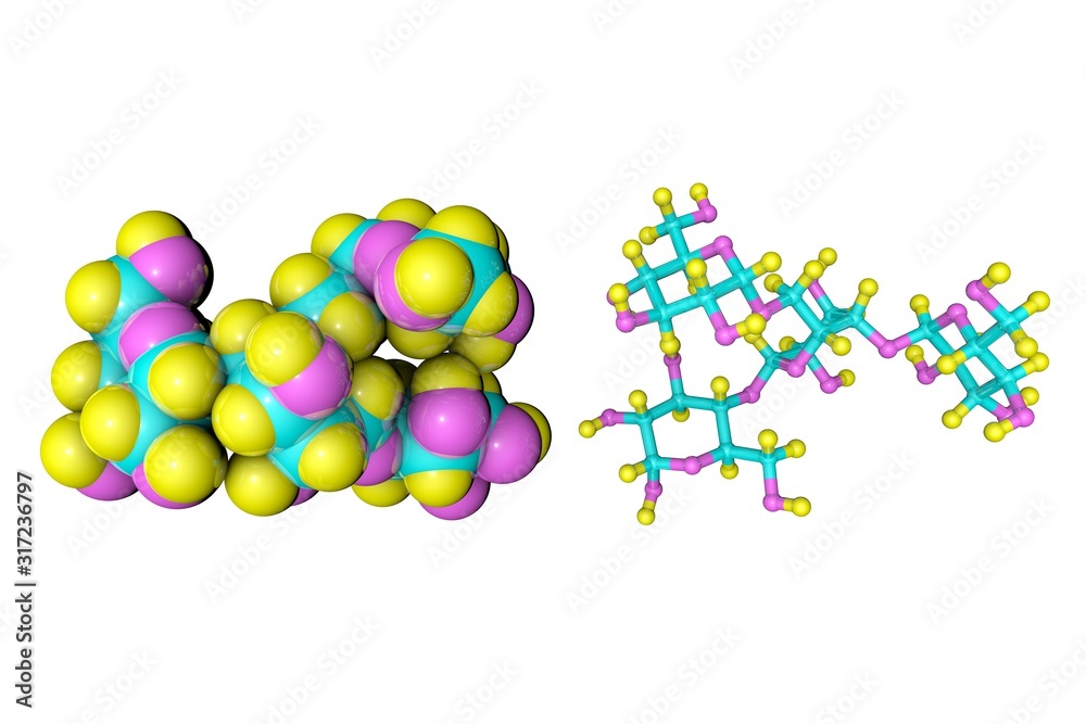 Polysaccharide Glycogen