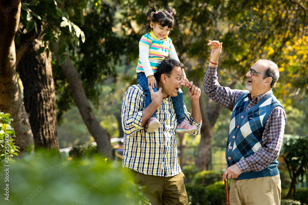 Happy multi generation Indian family at park outdoor Stock Photo ...