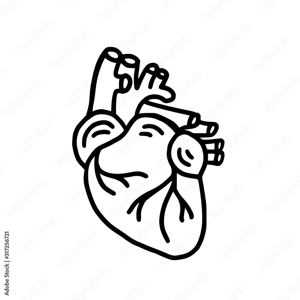 HEART DOODLE ORGAN. Human heart anatomical hand drawn icon. Anatomical ...