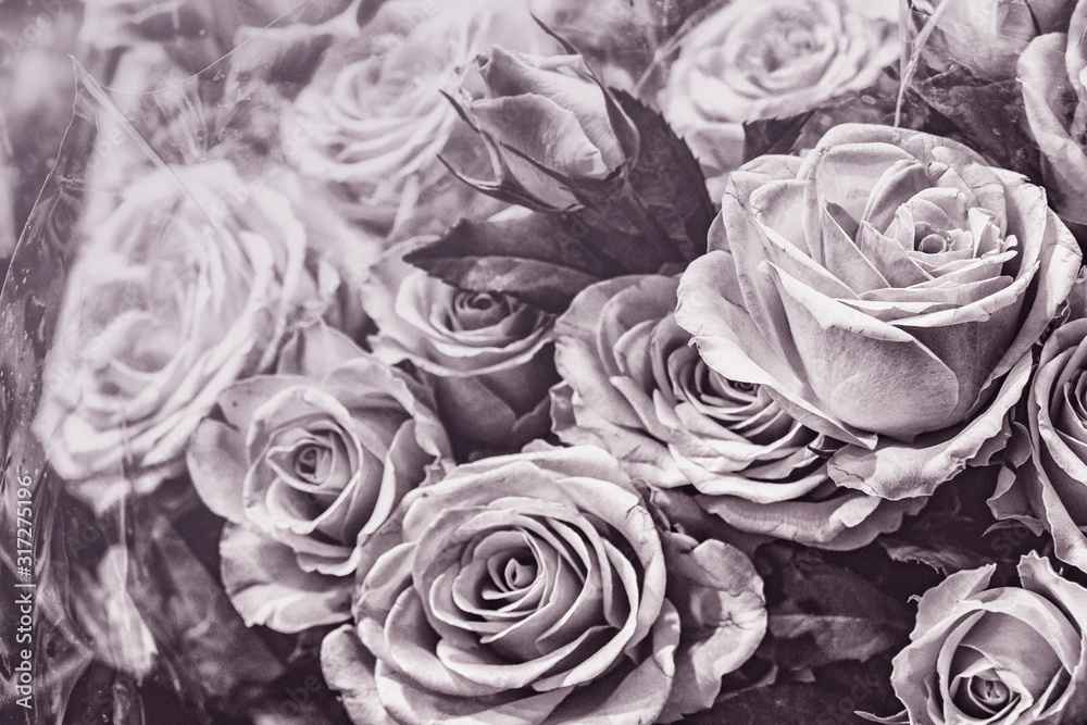 Wall of flowers in a flower shop Stock Photo | Adobe Stock