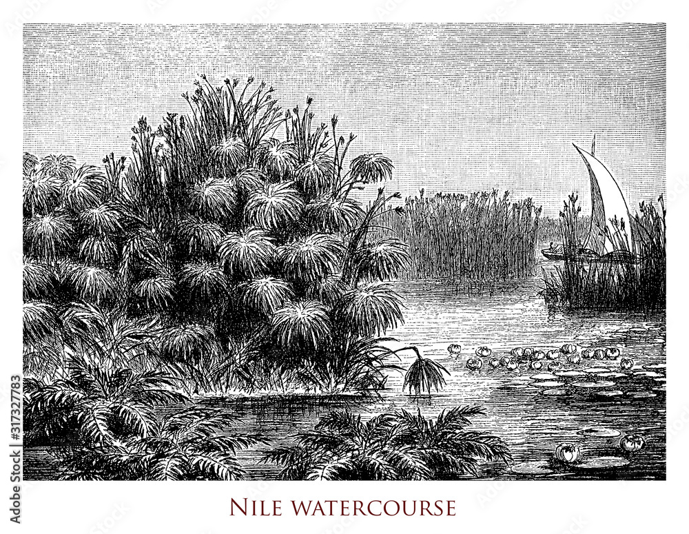 The idyllic landscape of the Nile river watercourse, the longest river ...