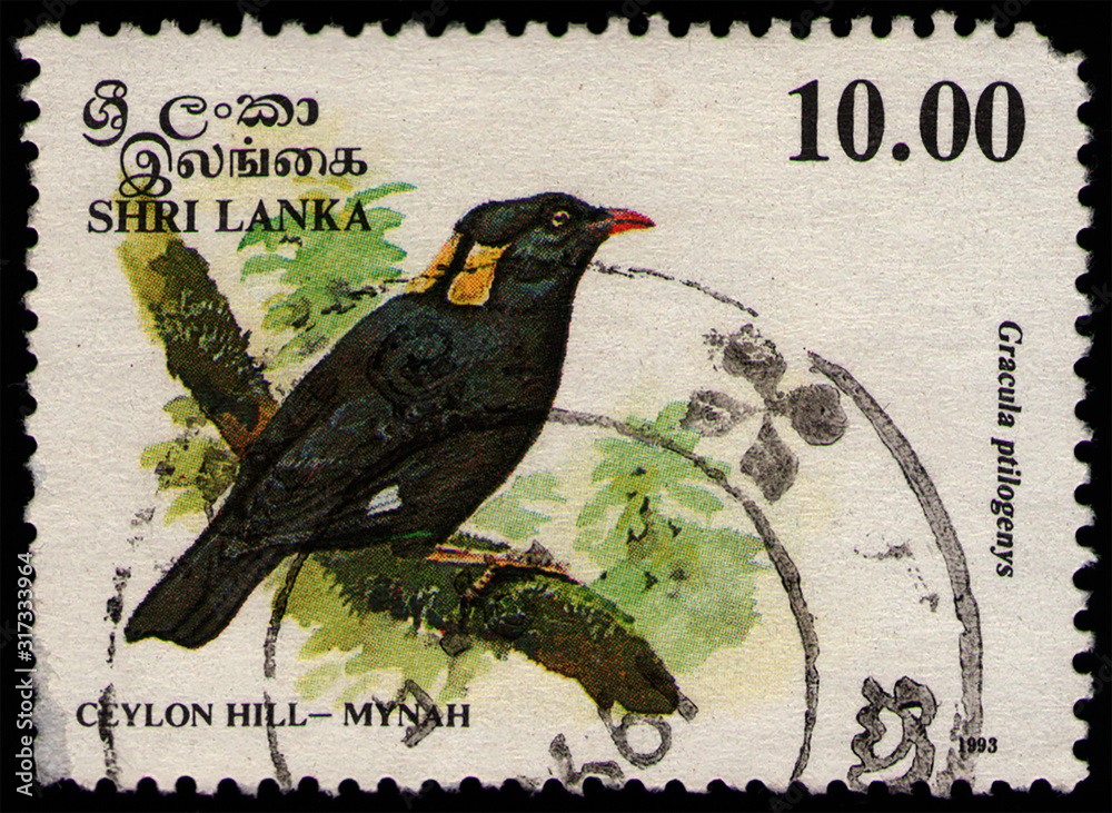 SRI LANKA - CIRCA 1993: stamp 10 Sri Lankan rupees printed by ...