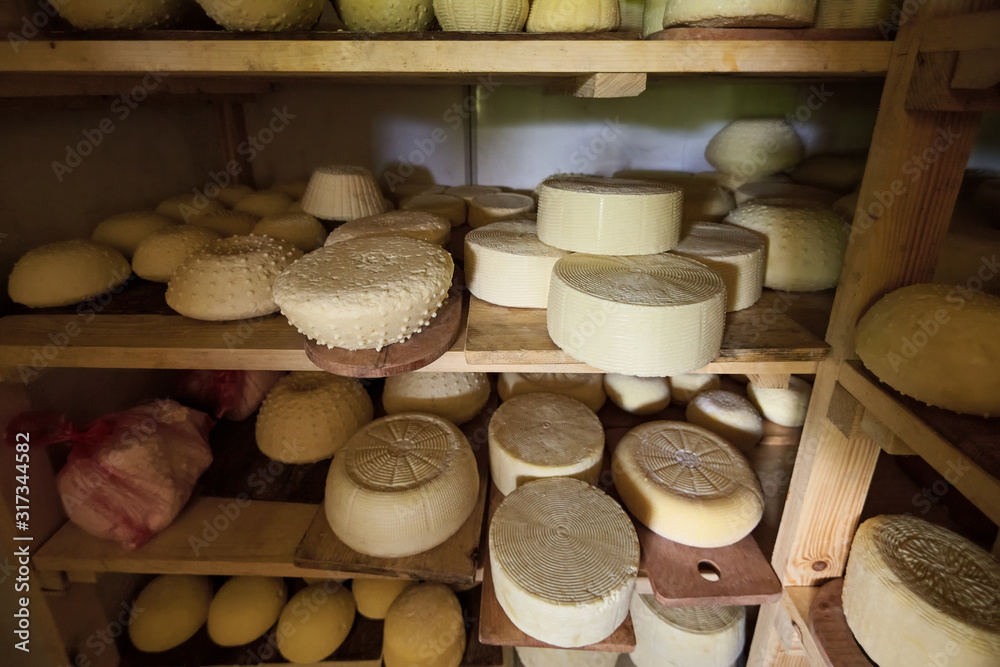 Craft cheese heads in the cheese storage (refrigerator). Homemade sheep ...