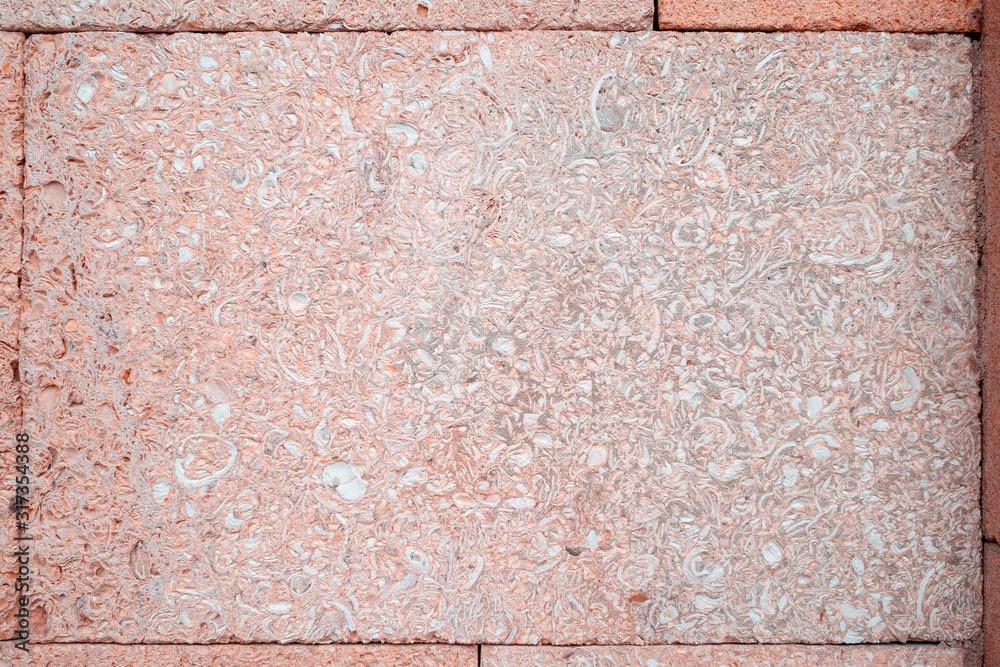 Coral stone porous texture with splashes of shell rock. Brickwork of a ...