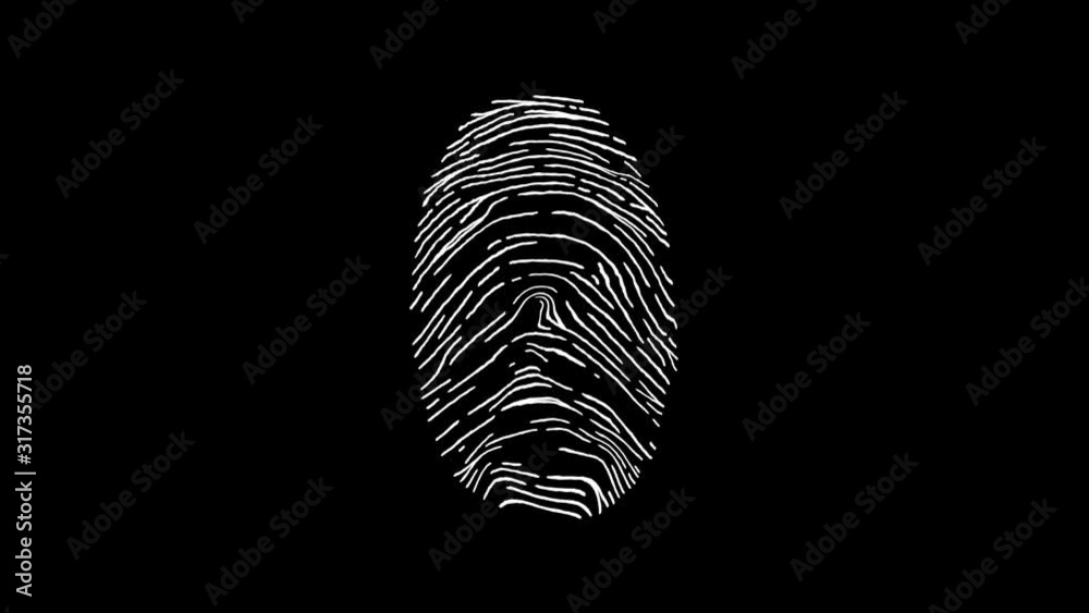 Wideo Stock: Ten human fingerprints, including the basic patterns: arch ...
