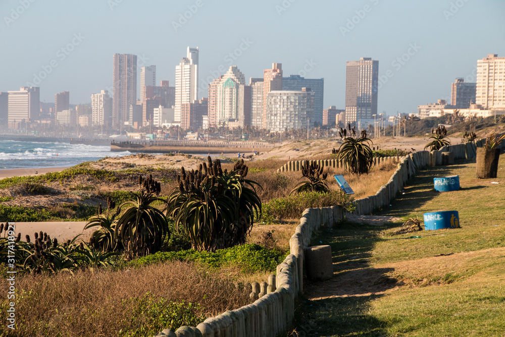 Grass Area and Dune Rehabilitation at Durban Stock Photo | Adobe Stock