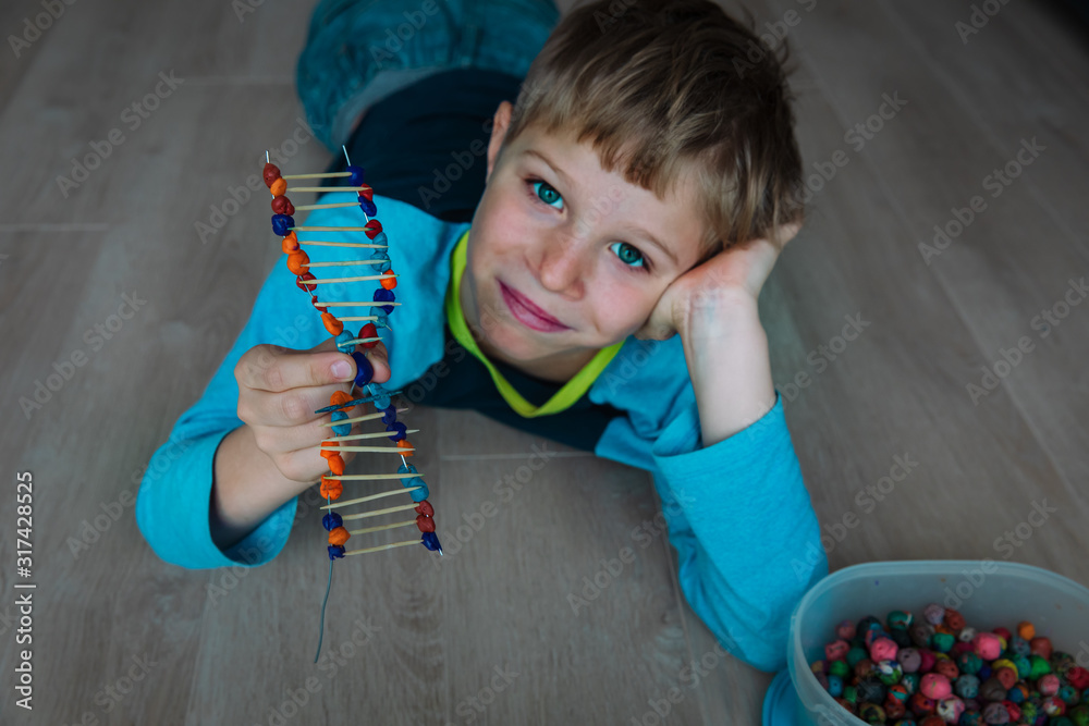 child making DNA model from sticks and clay, engineering and STEM Stock ...