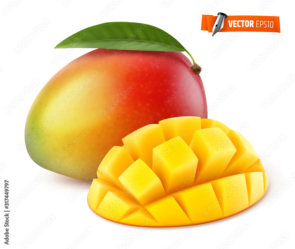 Mangue vectorielle sur fond blanc Stock Vector | Adobe Stock