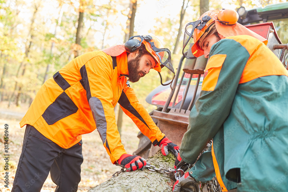 Zwei Waldarbeiter beim Baumrücken im Wald Stock Photo | Adobe Stock