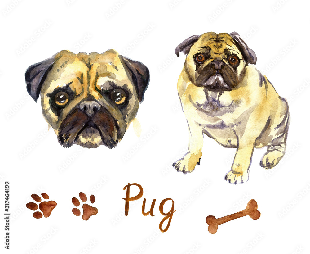 Pug set collection with inscription, bone and paw imprints design ...
