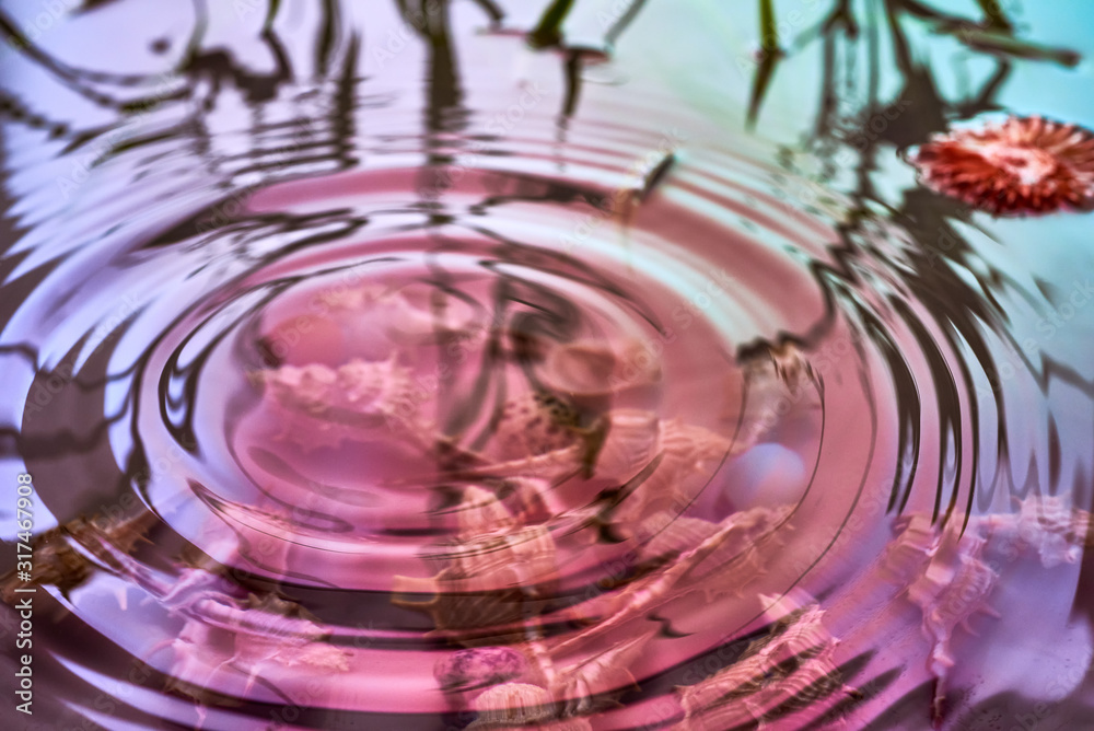 Raindrops fall on the surface of the water. The circles from the ...