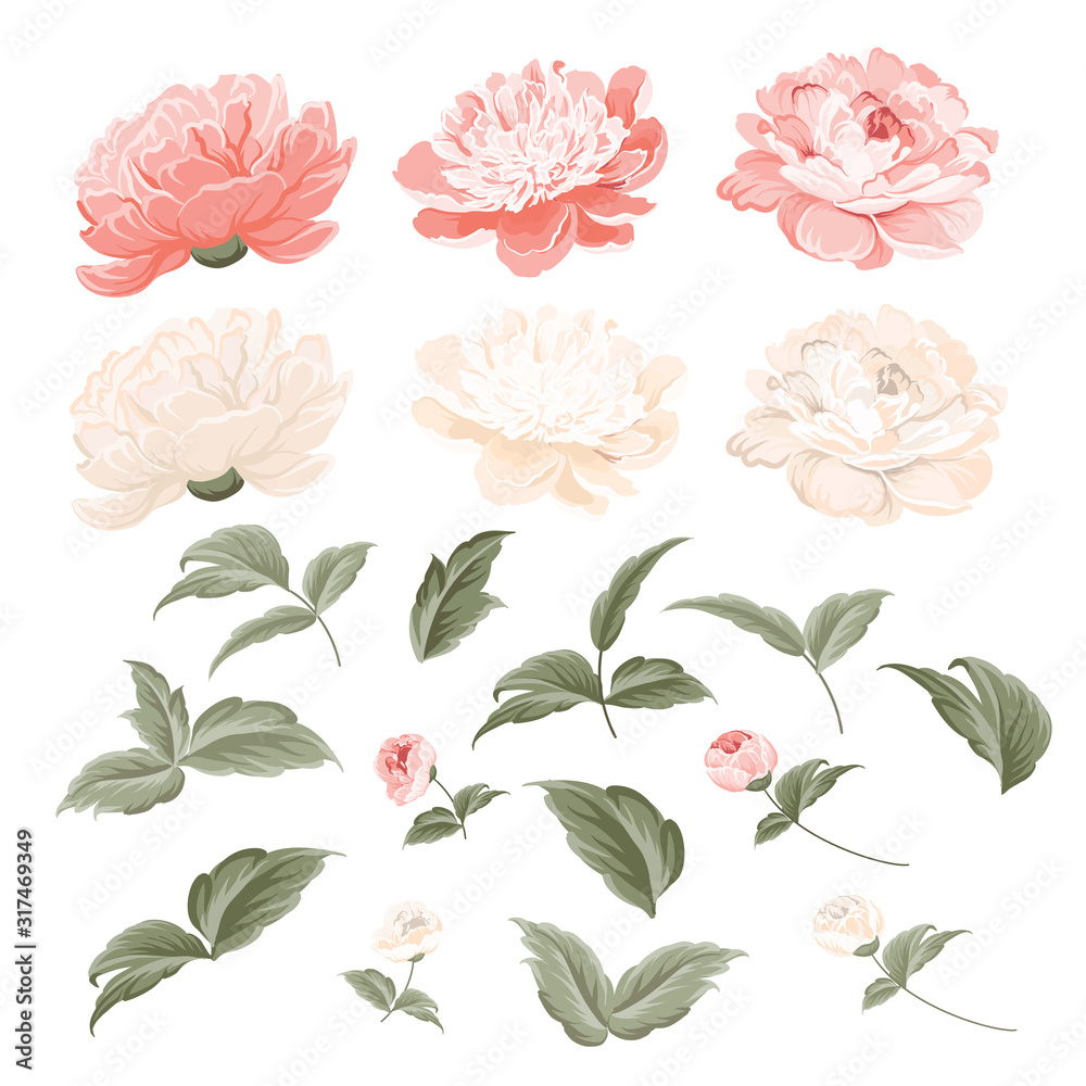Peonies Flowers Bouquet Vector | Best Flower Site